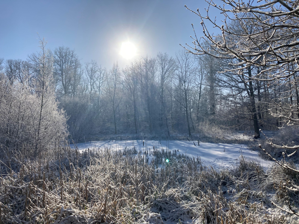 Boisemont sous la neige - volume 2 | Boisemont